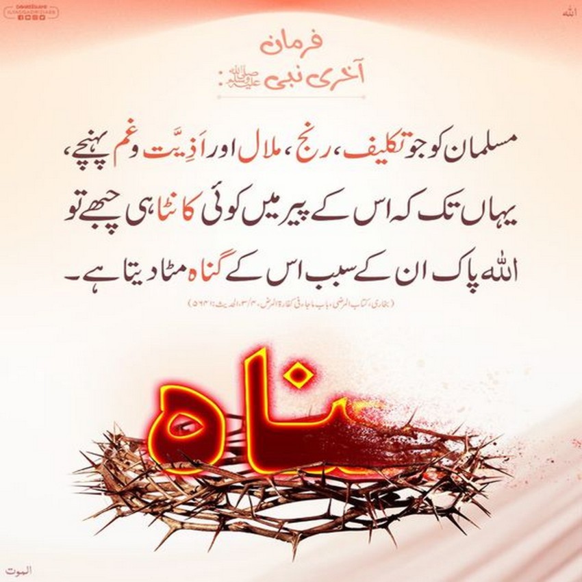 ALLAH Pak In Kay Sabab Is Kay Gunah Mitadeita Hai