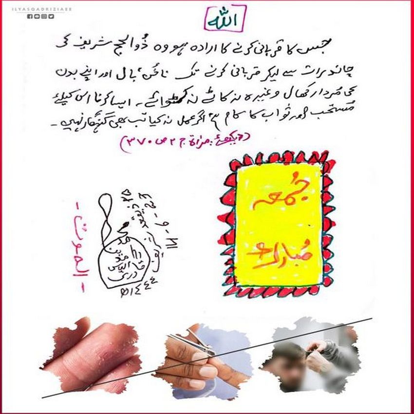 Ameer e Ahle Sunnat Maulana Ilyas Qadri: Islamic Scholar