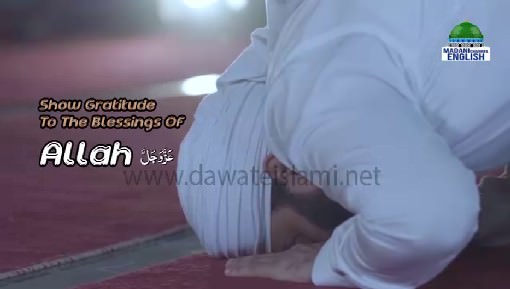 Show Gratitude To The Blessings Of ALLAH