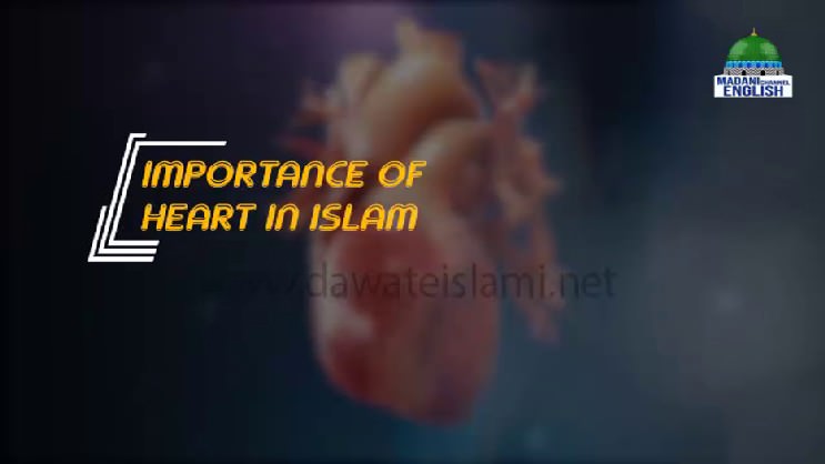 Importance Of Heart In Islam