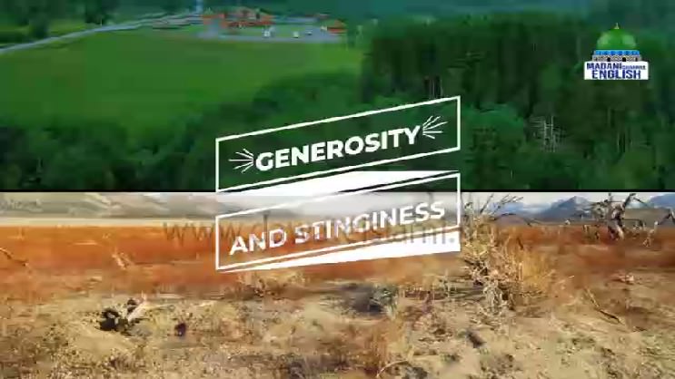 Generosity and Stinginess