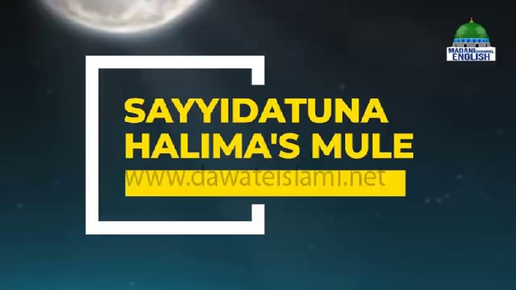 Sayyidatuna Halimas Mule