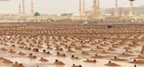Learn about Islam and Islamic knowledge with an Islamic Organization