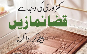 Learn about Islam and Islamic knowledge with an Islamic Organization