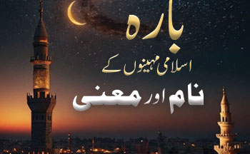 Learn about Islam and Islamic knowledge with an Islamic Organization